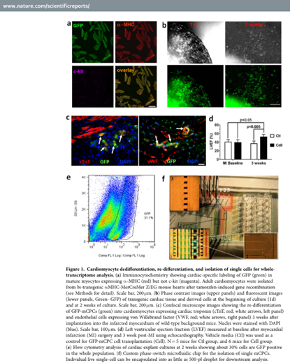 Research in Wang Lab | School of Medicine
